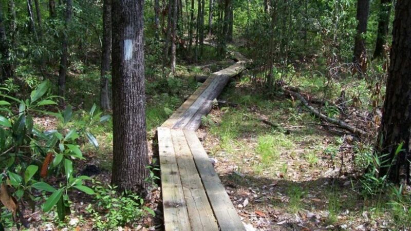 12 Best Campgrounds in Delaware [Update 2024]