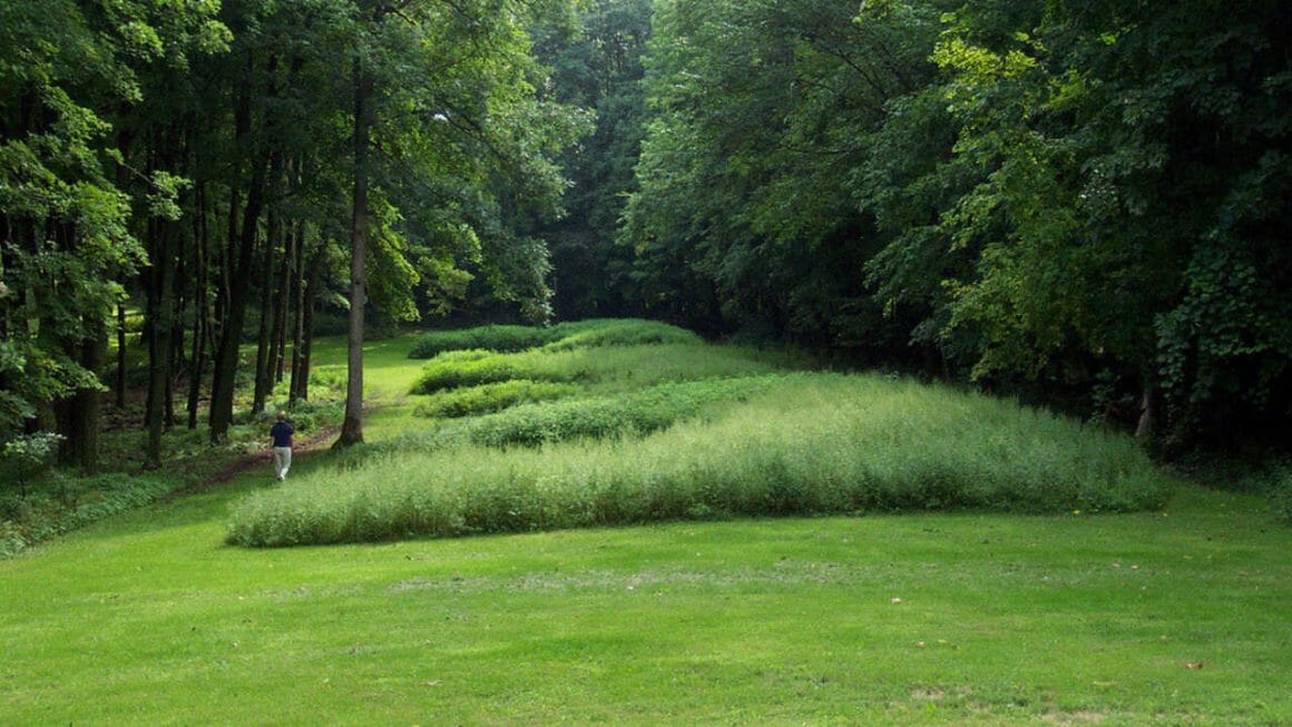12 Best Hiking Trails in Iowa [Update 2024]