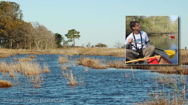 Top 10 Public Hunting Lands in Delaware [Update 2024]