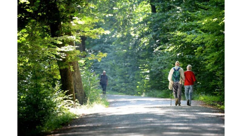 12 Amazing Bike Trails in Indiana [Update 2024]