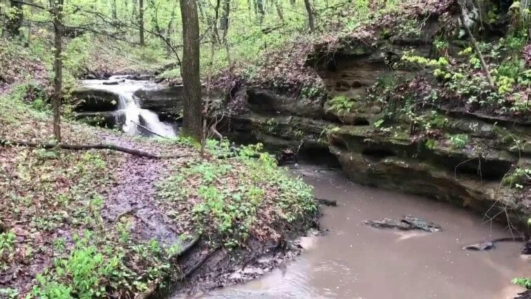 11 Fascinating Caves in Illinois You Can Explore [Update 2024]